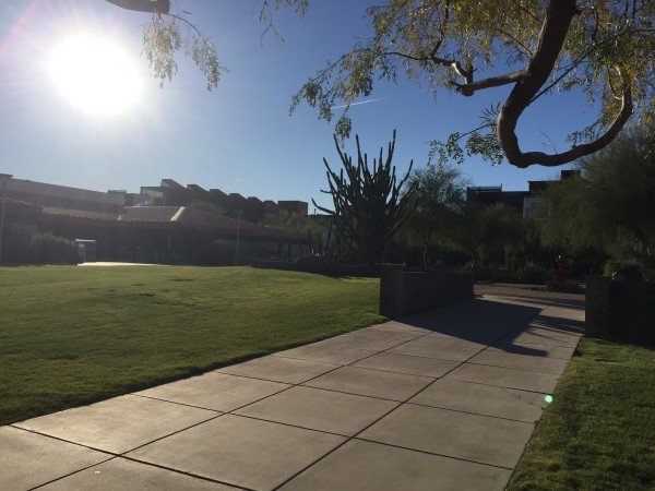 Commercial Landscaping | Landscaping | Large scale Landscaping ...